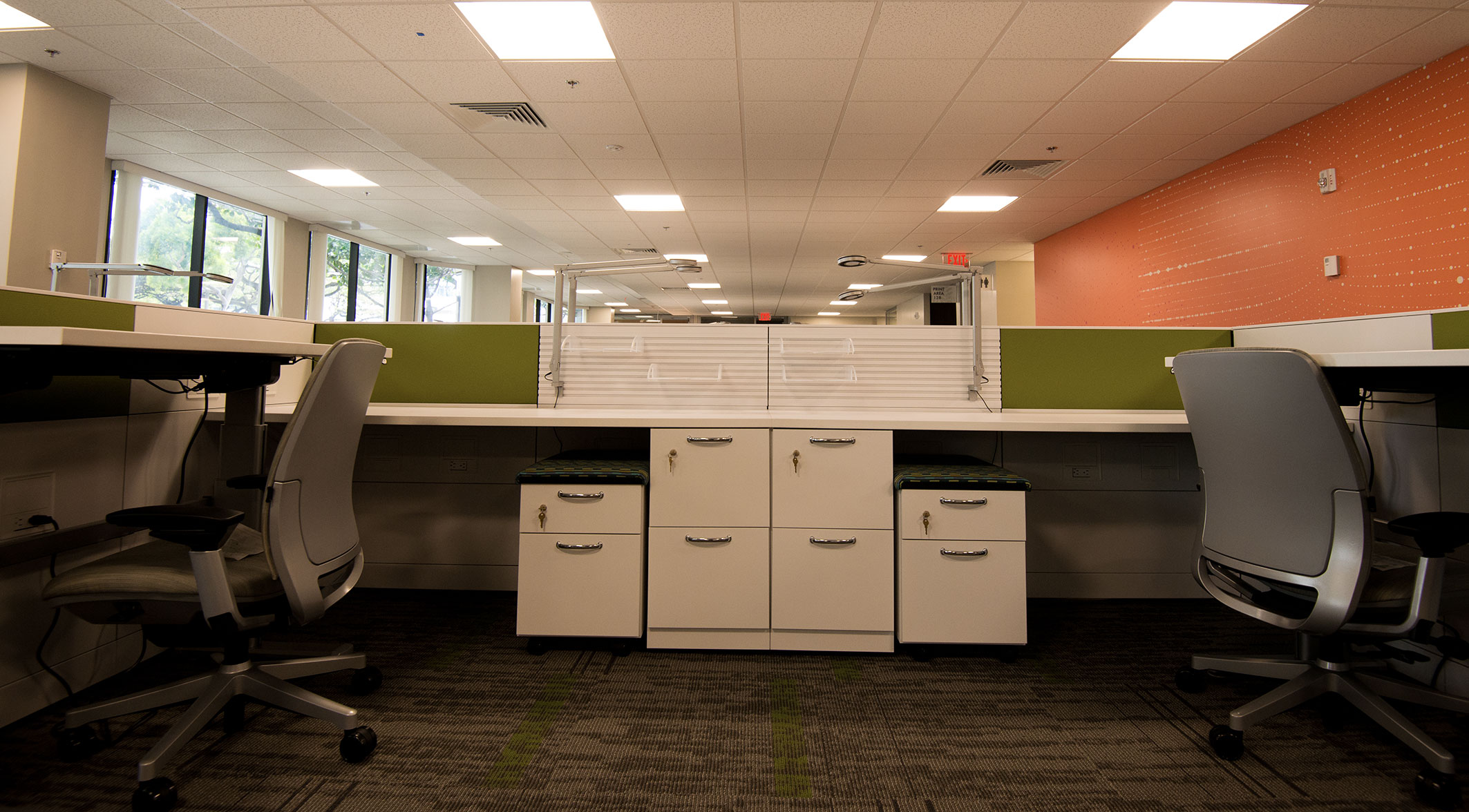 Office Renovation - Interior Showplace